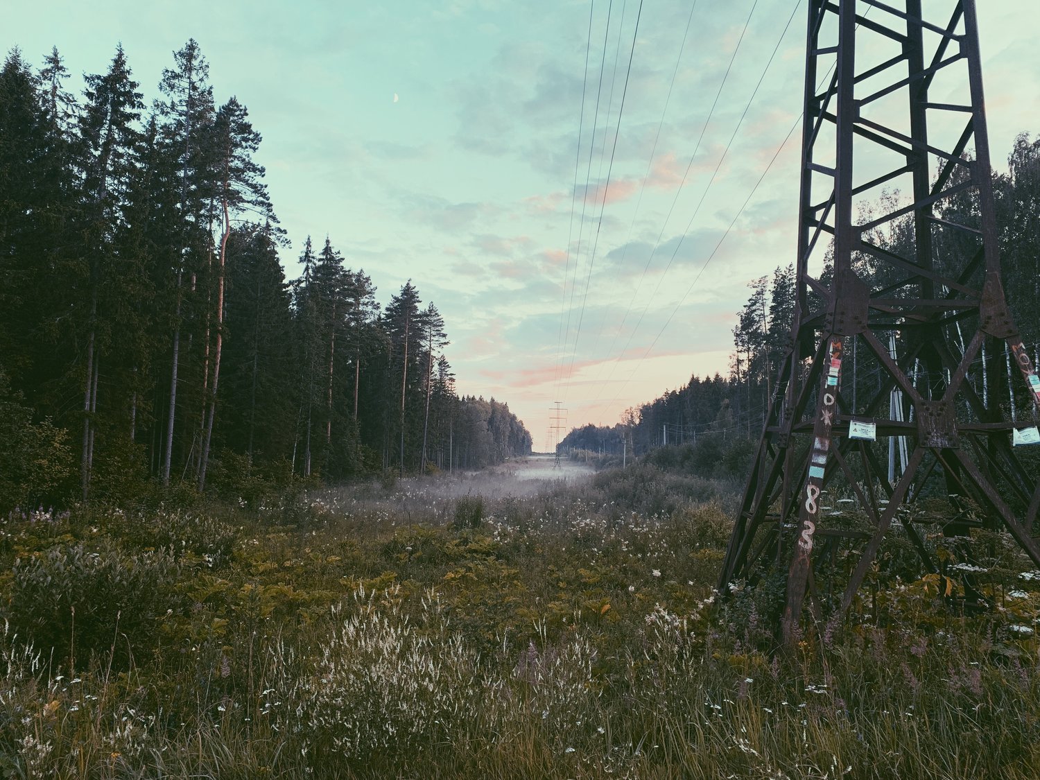 Large-scale biodiversity approaches in power line corridors - Ecogain ...